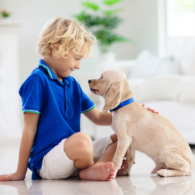 Ultrasonic Pest Repeller for Rodents/Cockroaches - Riddex® Sonic Plus